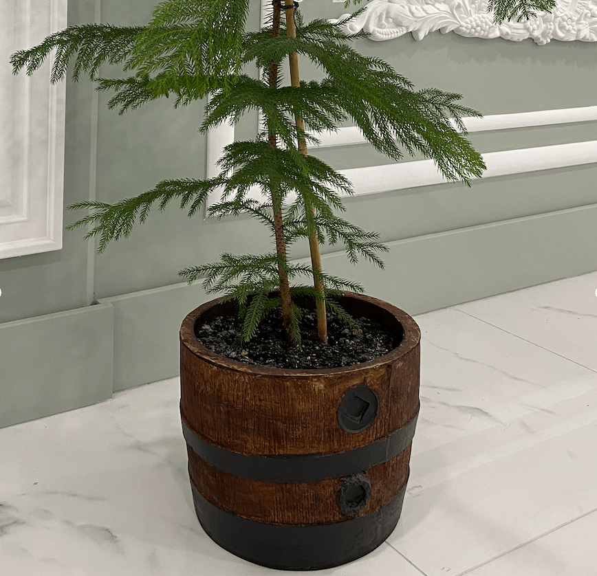 Decorative Elements – زخــارف